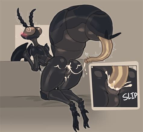 Rule 34 Antennae Anatomy Anthro Anus Arthropod Arthropod Abdomen Arthropod Abdomen Genitalia