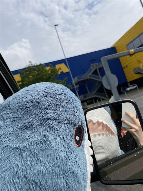 New Blåhaj acquired 🥳🥰 : r/BLAHAJ