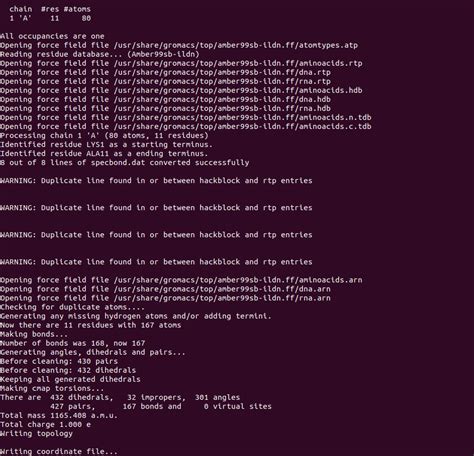 Warning Duplicate Line Found In Or Between Hackblock And Rtp Entries Using Amber99sb Ildn