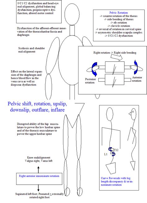 Pelvic Floor