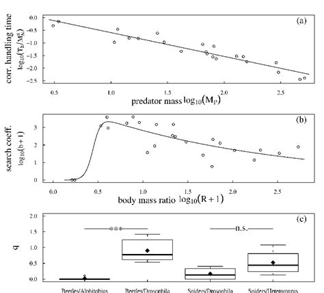 11 Allometric Scaling Of Functional Response Parameters A Log10 Download Scientific