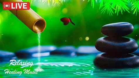 Serene Piano Tunes With Natural Sounds 🌼 Ideal For Deep Relaxation