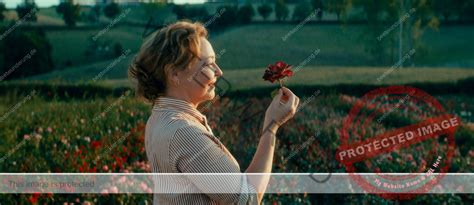 Filmtipp Der Rosengarten Von Madame Vernet Beetwunderung De