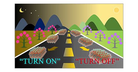 High Density Au Anchored To Ti3c2 Based Colorimetric Fluorescence Dual Mode Lateral Flow