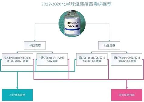 厦门流感疫苗一年打几次 厦门本地宝