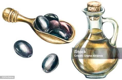 유리병에 담긴 올리브 오일 올리브 올리브 올리브 주걱 흰색 배경에 수채화 그림 올리브유에 대한 스톡 벡터 아트 및 기타 이미지 올리브유 유리잔 건강한 식생활 Istock