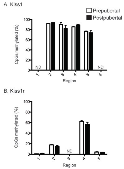 Details Of Methylation Across Entire Promoter Regions A Bar Graph