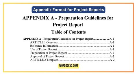 An In Depth Exploration Of Appendix Examples In Various Academic Documents