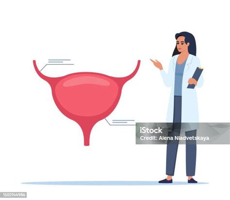 의사가 해부학에 대한 교육 강의를 합니다 인간 방광 인포그래픽을 제시하는 의사 의료 세미나 강의 의료 회의 개념 벡터 그림입니다