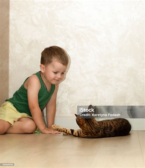 4 살짜리 어린 소년이 집 안의 바닥에서 빨간 표범 벵골 고양이와 놀고 있습니다 소년에 대한 스톡 사진 및 기타 이미지 소년 애완고양이 2 3 살 Istock