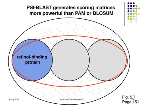 Ppt Position Specific Iterated Blast Psi Blast Powerpoint