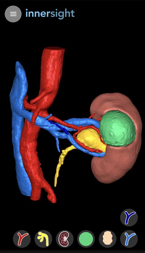 Robotic Surgery At It S Best Urology Clinics Manchester Urology