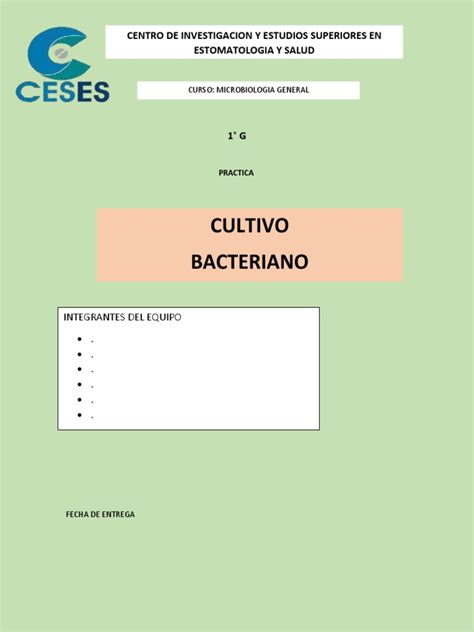 Cultivo Bacteriano Pdf Las Bacterias Nutrición