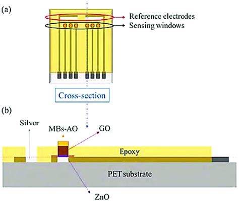 The Schematic Diagrams Of The Potentiometric Arrayed Aa Biosensor Based Download Scientific