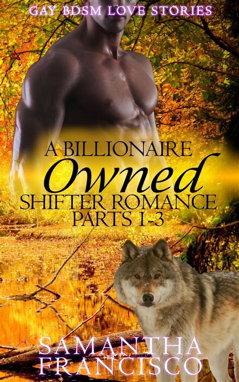Gay Bdsm Love Stories Series Ebook Everand