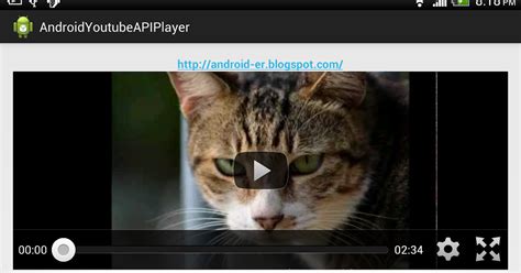 Android Er Simple Example Using YouTube Android Player API
