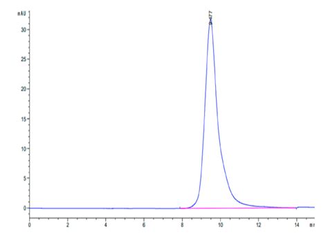 Human ASGR1 Protein (ASG-HM1R1) | KACTUS
