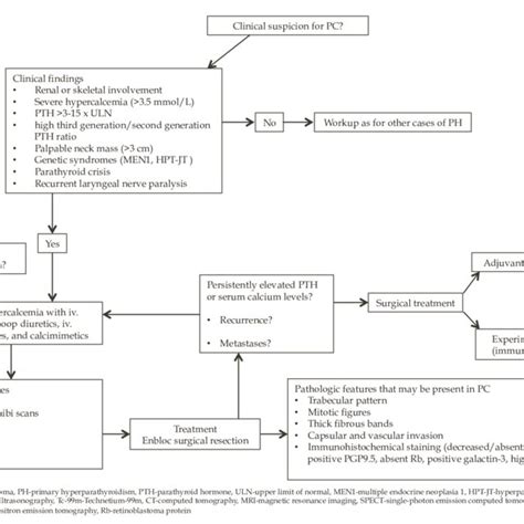 Diagnostic And Treatment Algorithm For Parathyroid Carcinoma Download Scientific Diagram