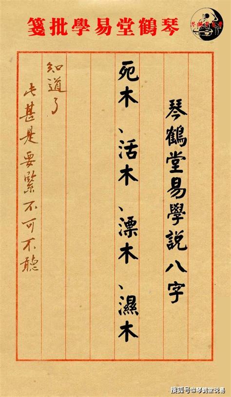 琴鹤堂易学说八字死木活木漂木湿木 木喜金 地支 天干