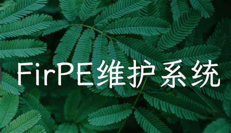 Windows版本切换工具 Mac78