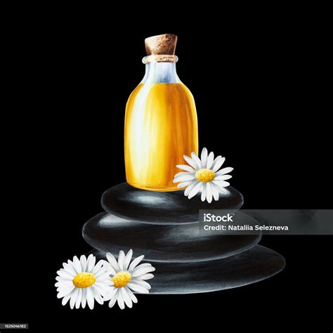 코르크 뚜껑과 카모마일이 있는 수채화 기름 유리병은 하얀 배경에 분리된 피라미드 위에 있다 미용 제품 및 식물학 요소 미용 및 의학 디자이너 스파 장식 엽서 포장지 스크랩북