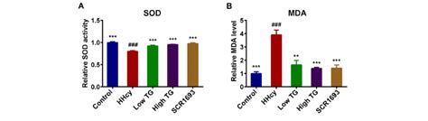 Tg Attenuated Hcy Induced Oxidative Stress A Relative Sod Activity