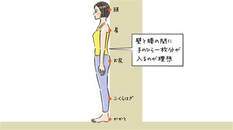 反り腰について Zerospo Advance新潟万代 ゼロスポ接骨院 新潟万代