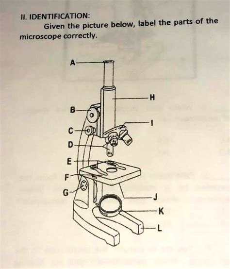 SOLVED II IDENTIFICATION Given The Picture Below Label The Parts Of