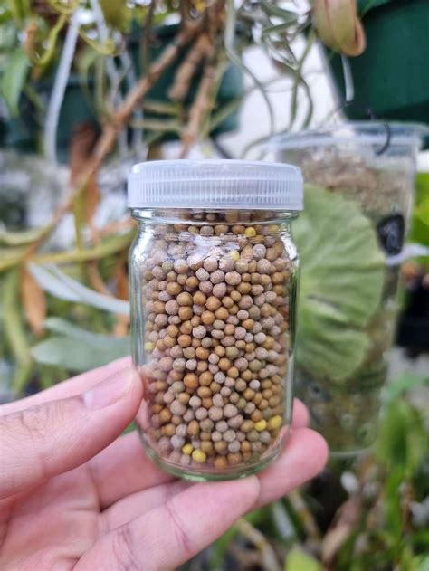 Osmocote Slow Release Fertilizer 100g My Site