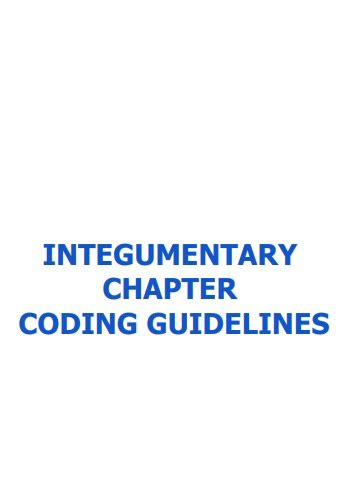 CHAPTER CODING GUIDELINES