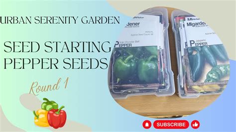 Seed Starting Pepper Seeds Youtube