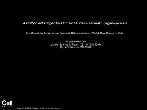 A Multipotent Progenitor Domain Guides Pancreatic Organogenesis Ppt