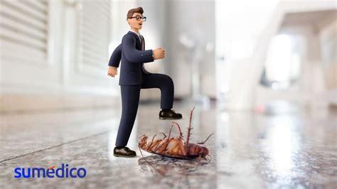 ¿por Qué No Debes Pisar Las Cucarachas Su Médico
