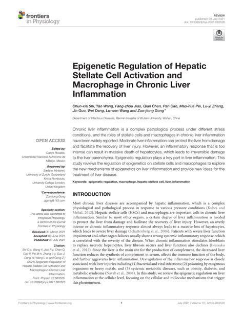 Pdf Epigenetic Regulation Of Hepatic Stellate Cell Activation And