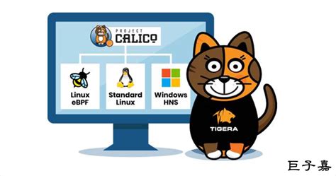 k8s网络插件calico，常用的有flannel、calico、cilium、ovn网络插件。 kubeovn和calico csdn博客
