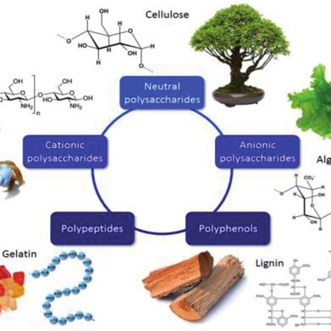 Classification Of Green Polymers Download Scientific Diagram