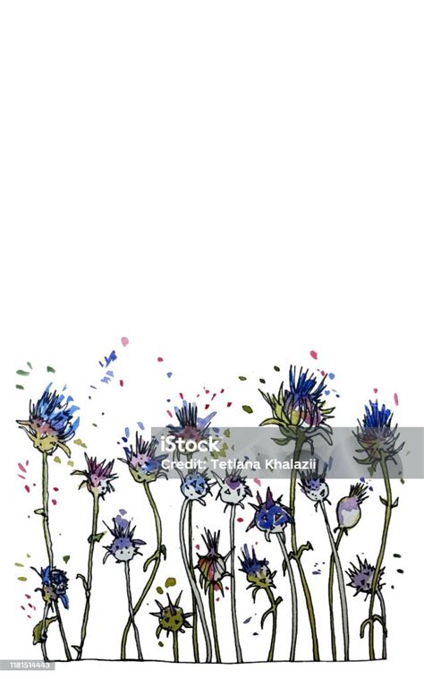 수채화와 잉크에 우유 엉겅퀴 식물 그림 초대 카드 템플릿 엉겅퀴류에 대한 스톡 벡터 아트 및 기타 이미지 엉겅퀴류 0명
