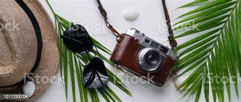 선글라스 페도라 모자 종 려 잎 바다 포탄 및 빈티지 카메라 플랫 누워 여행 휴가 휴가 배너 배경 개념에 대한 스톡 사진 및 기타 이미지 Istock