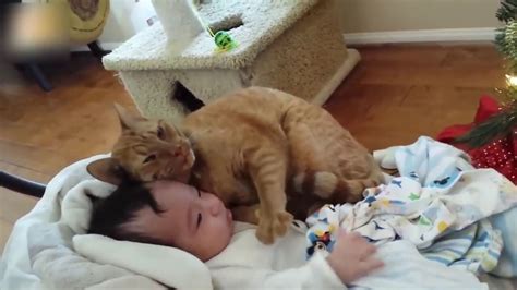 猫と赤ちゃんは大の仲良し 肉球ドットコム299