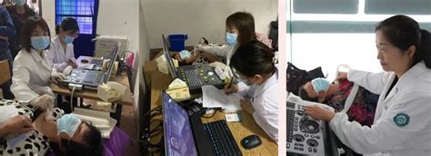 暖心义诊德尚韵兴尽显担当 德尚韵兴
