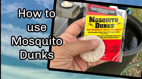 What Do Mosquito Dunks Do At Clara Moran Blog