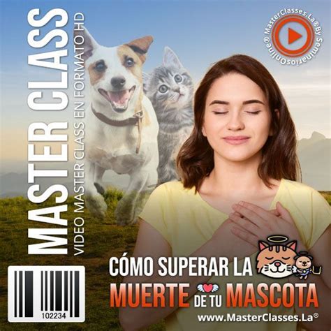 Como Superar La Muerte De Tu Mascota Curso Online