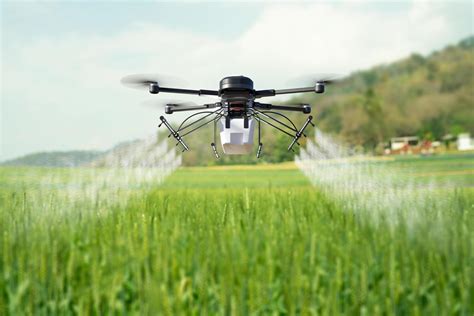 Drone Spraying Pesticide On Wheat Field Stock Photo At Vecteezy