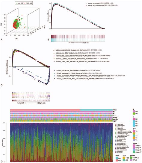A Principal Components Analysis Between Low And High Risk Groups On Download Scientific