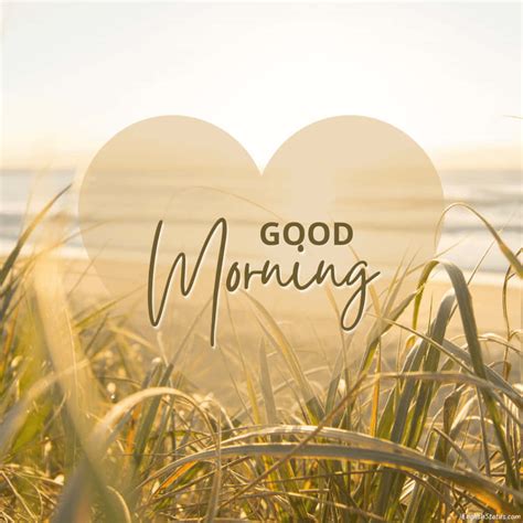 Download Morning Beach Side Grass Wallpaper