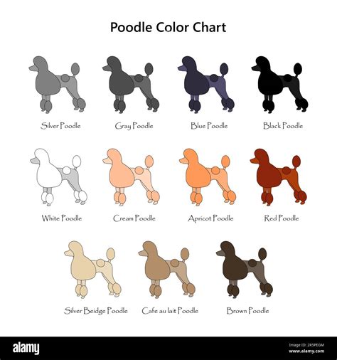 Poodle Color Chart By Tsonianfieldsranch On Deviantart 45 Off