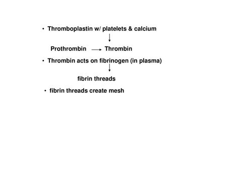 Blood Basics Ppt Download