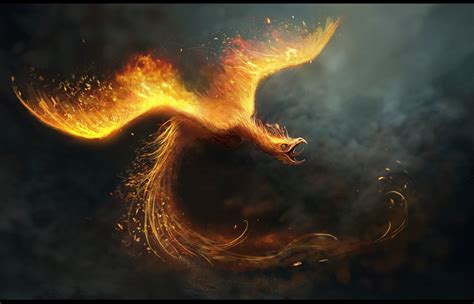 Phoenix Illustration Fire Phoenix Birds Hd Wallpaper