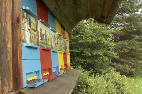 29 Beautiful Backyard Bee Hives Home Stratosphere