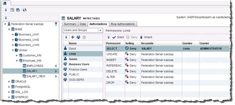 Securing Sensitive Data Using Sas Federation Server Data Masking Sas